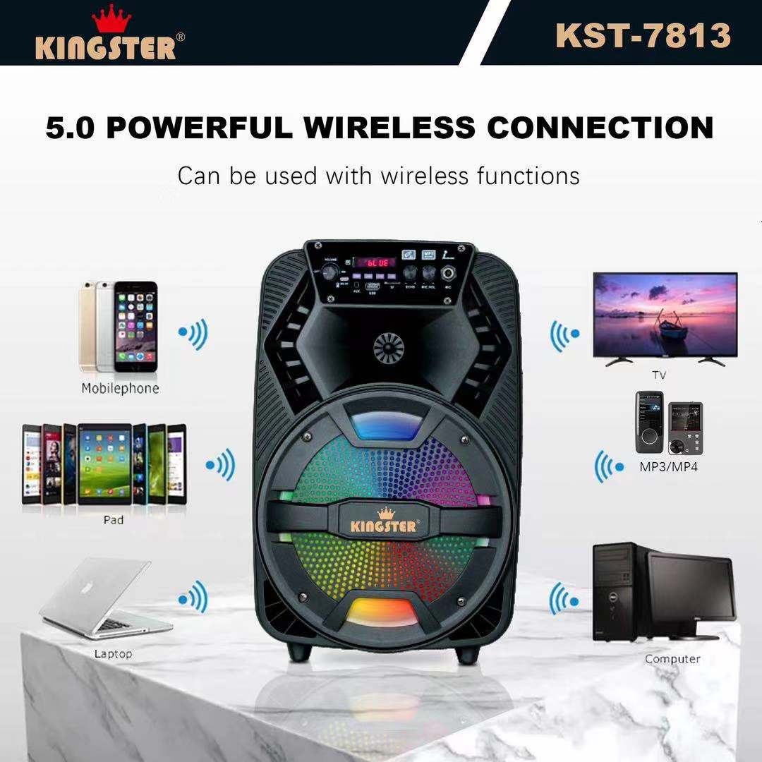 KINGSTER KST-7813 - Kingster